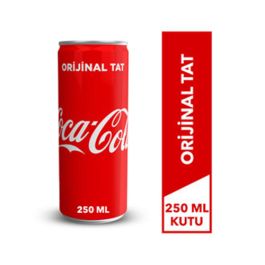 Coca Cola 250 ml Kutu